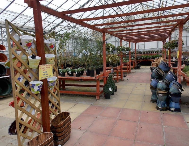 Garden-Services-and-Landscaping-in-Bedford-bulb-shrubs-01908 610 236